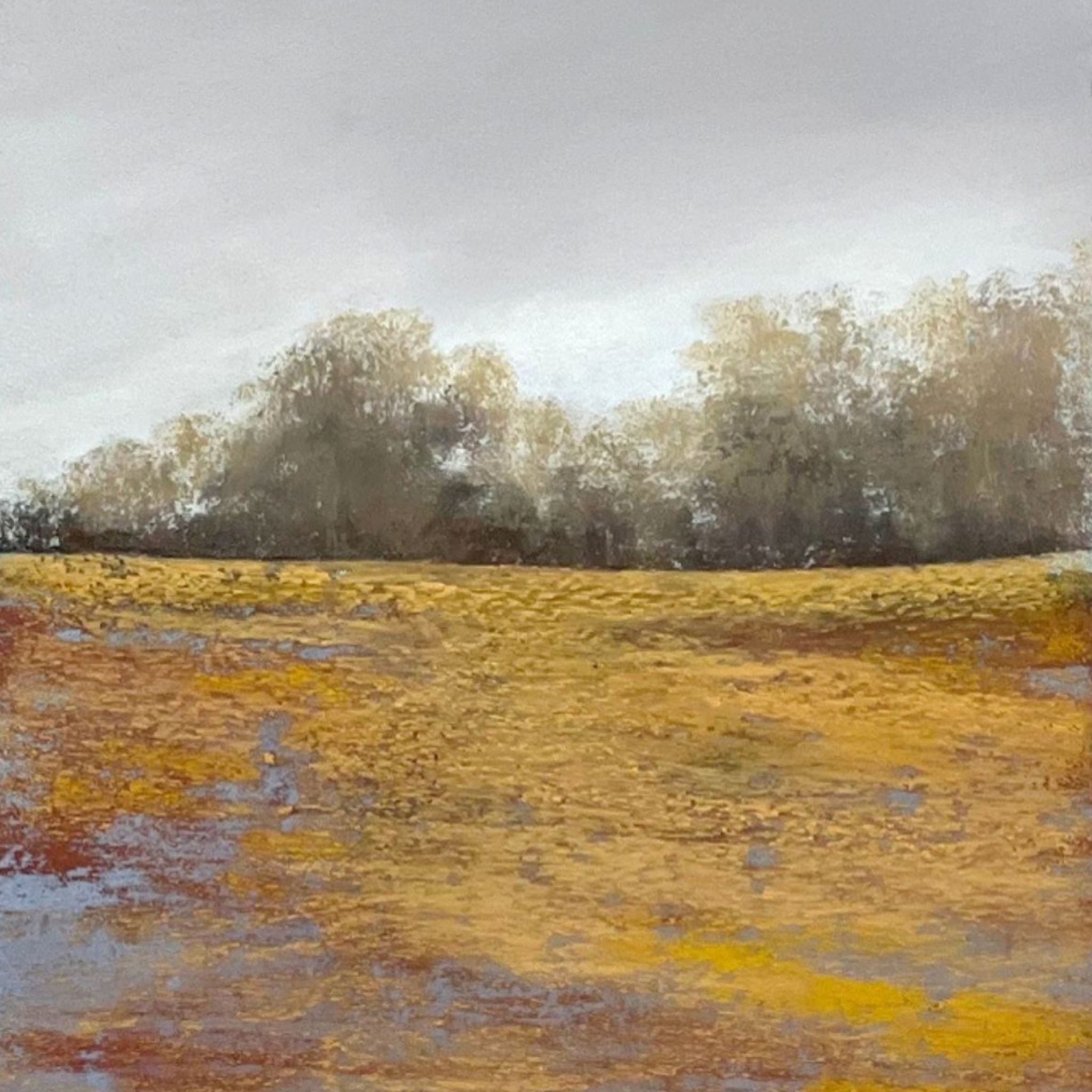 Fiona Kent – The Peisley Street Gallery