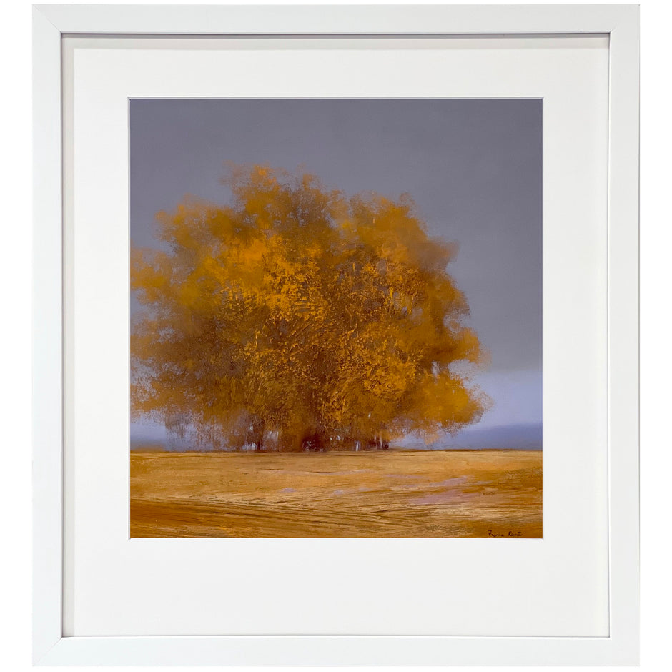 Fiona Kent – The Peisley Street Gallery